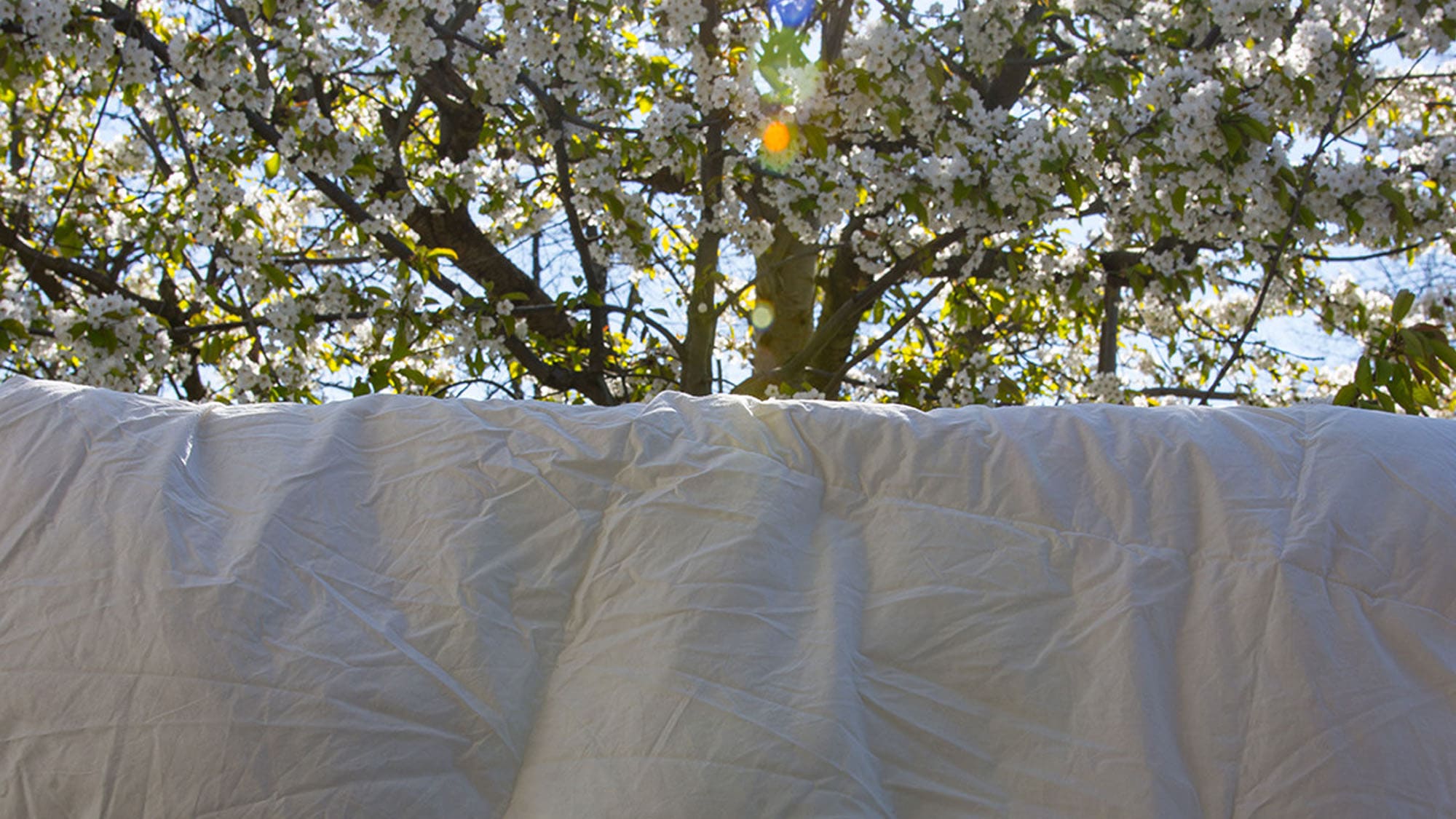 10 Tips to Make Laundry Routine Easier | Cleaning Tips | ao.com