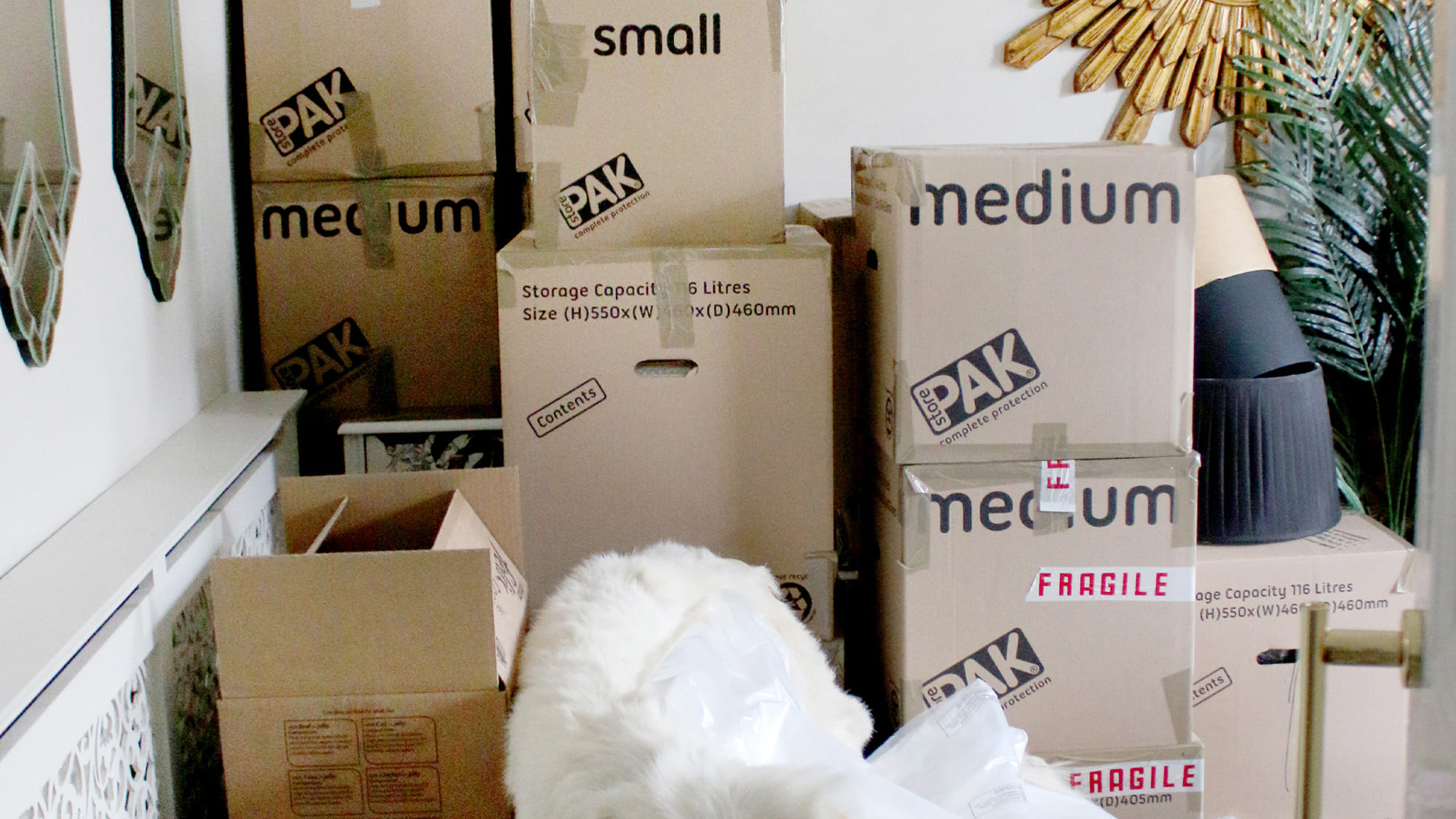 Home Movers | Home & Interiors | ao.com