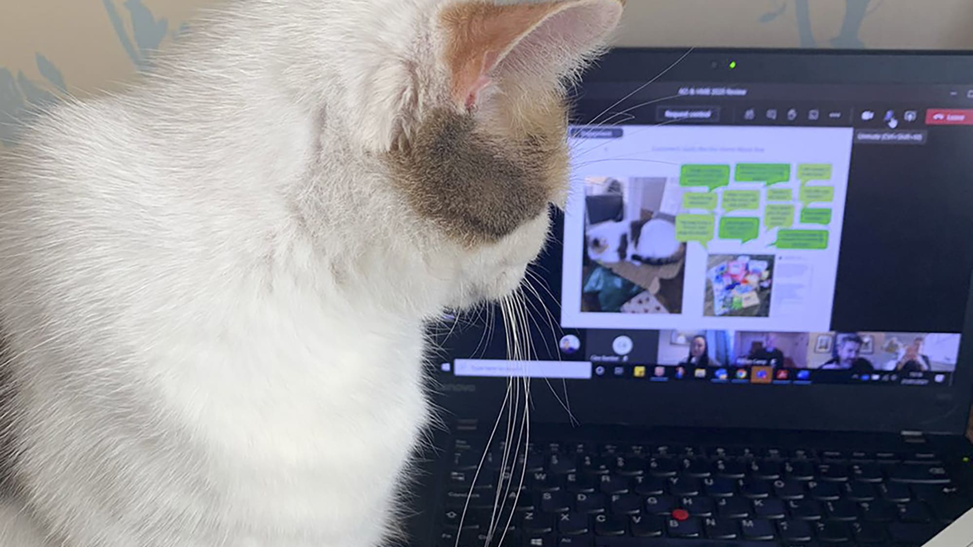 How To Stay Connected | Technology | ao.com