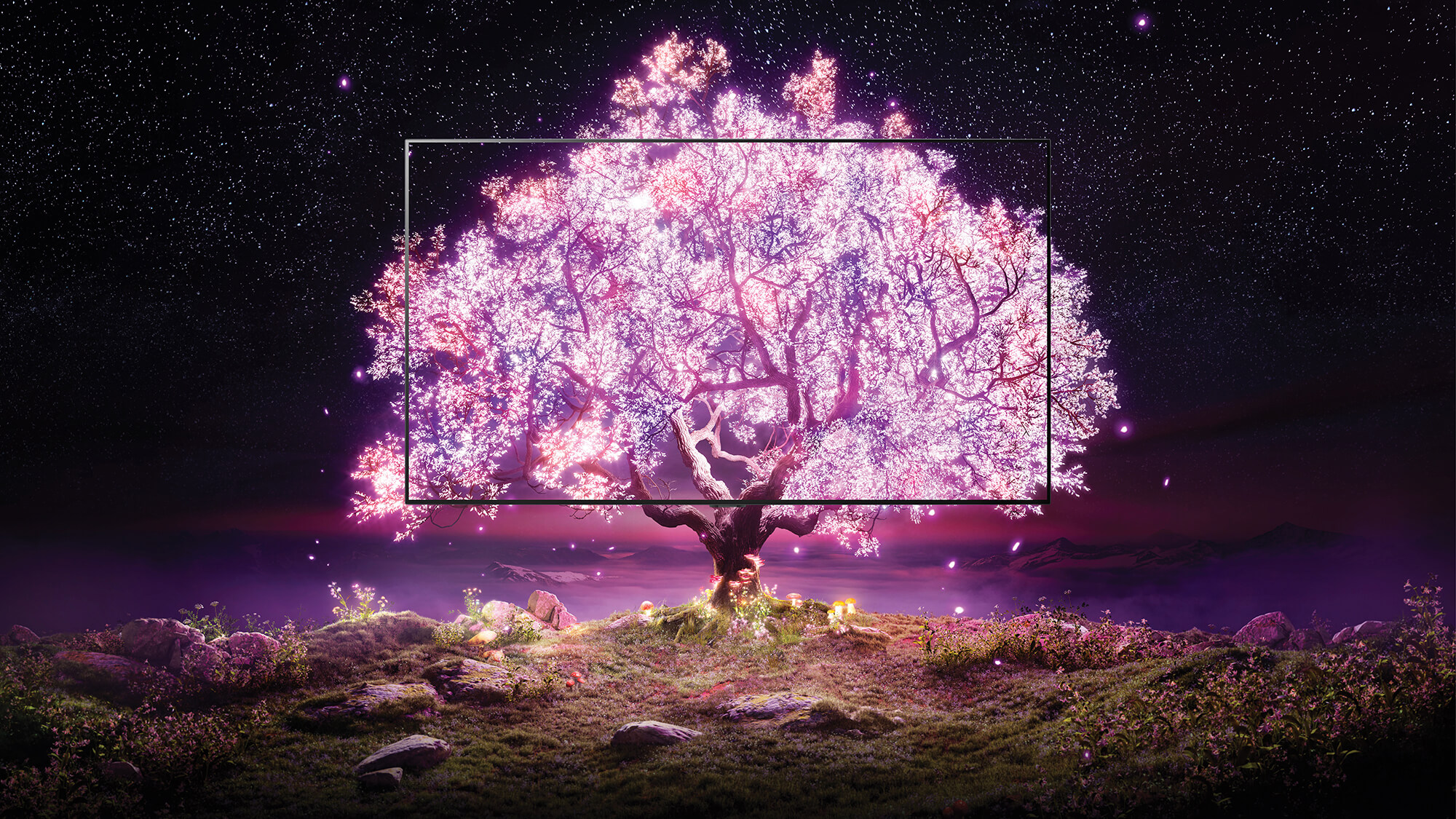 LG TVs | OLED TVs | NanoCell | ao.com