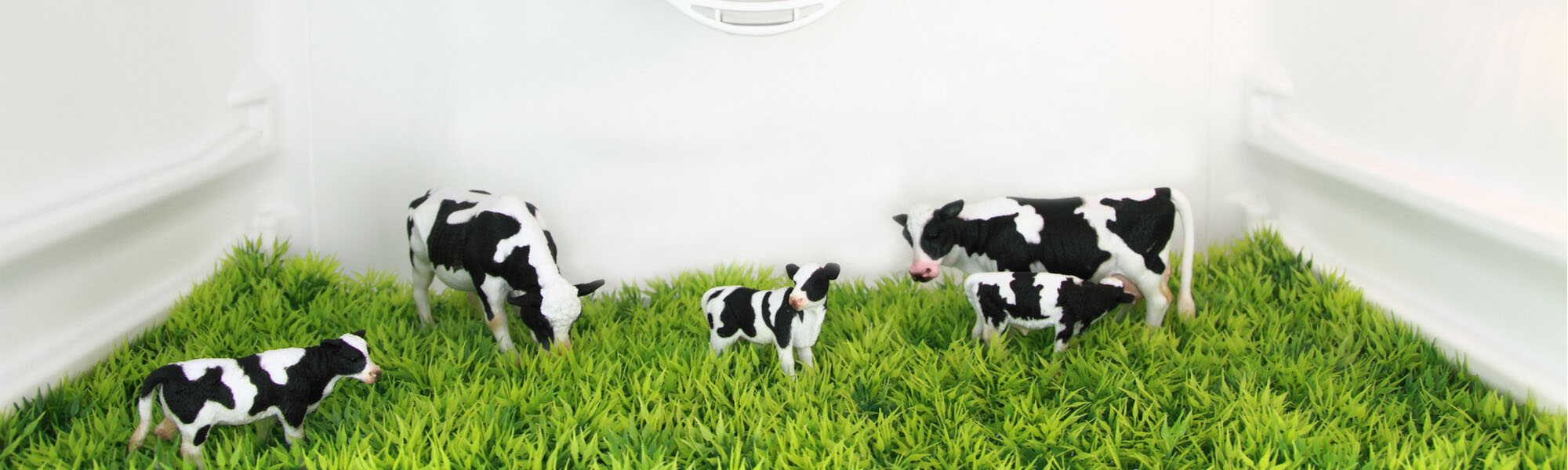 From Farm to Fridge | The Importance of Local Produce | ao.com