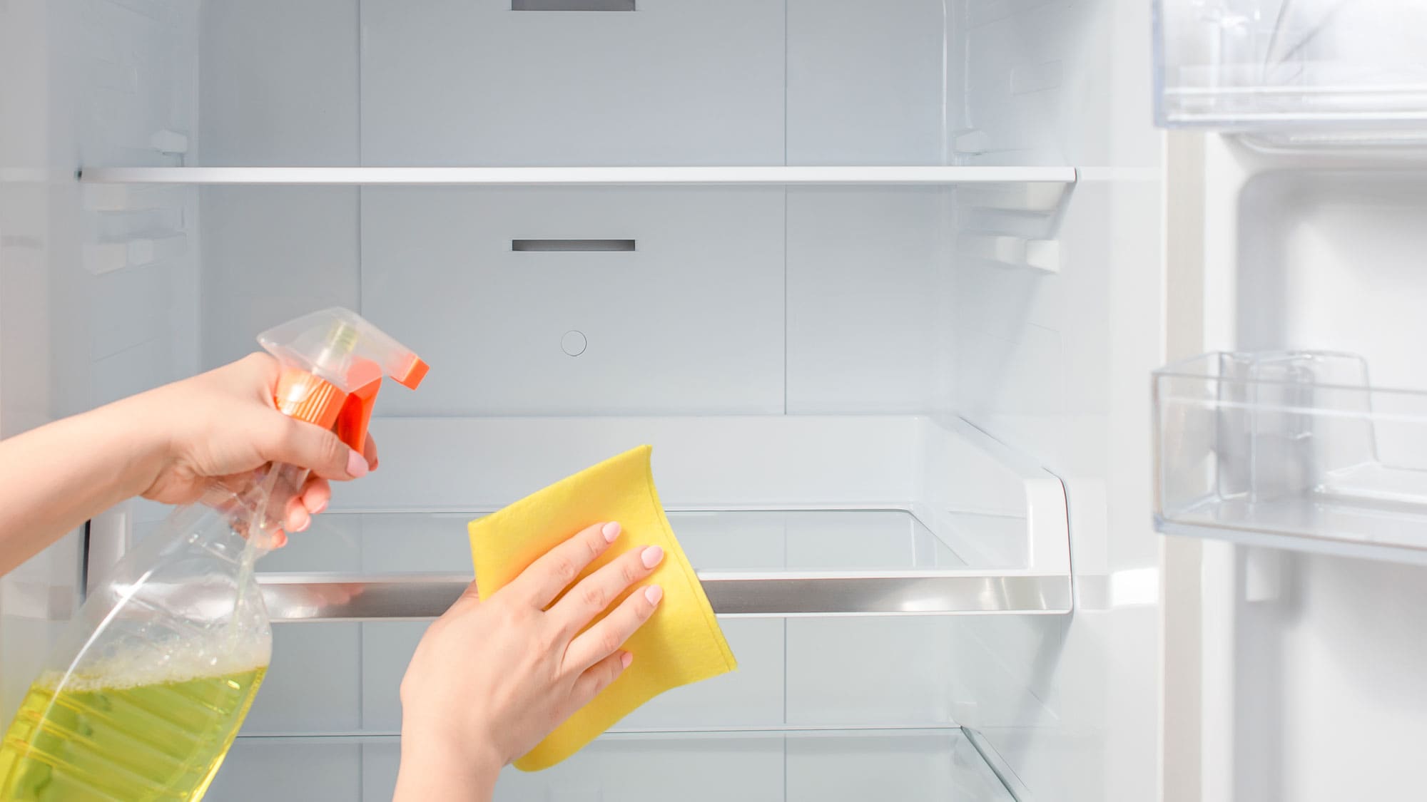 Fridge Freezer Maintenance, Care and Cleaning Tips | ao.com