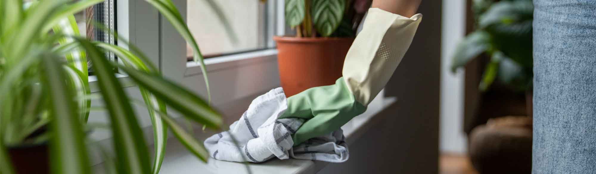 Make your house smell amazing | Cleaning Tips | ao.com